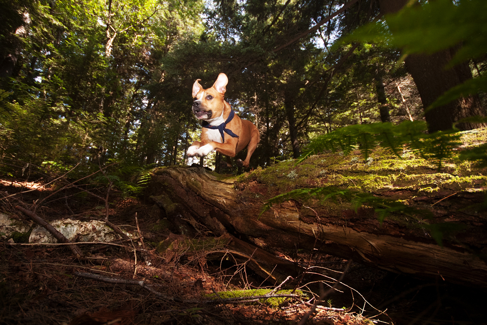 DrakeJump | Adam Piorkowski Photography