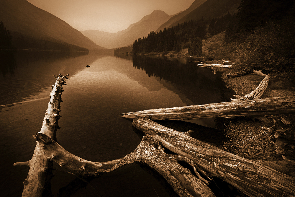 Adam Piorkowski Photography